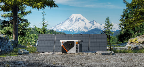 Litheli｜Battery-Powered Lawn, Garden & Home Tools